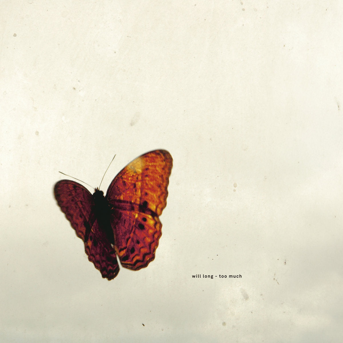 Will Long - Too Much - Vinyl Records - The Analog Vault